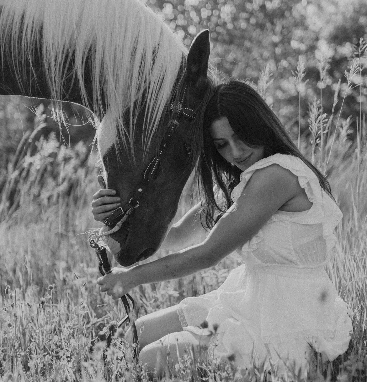 Grace Taylor: The Equine Enthusiast - The Story Behind the Successful ...